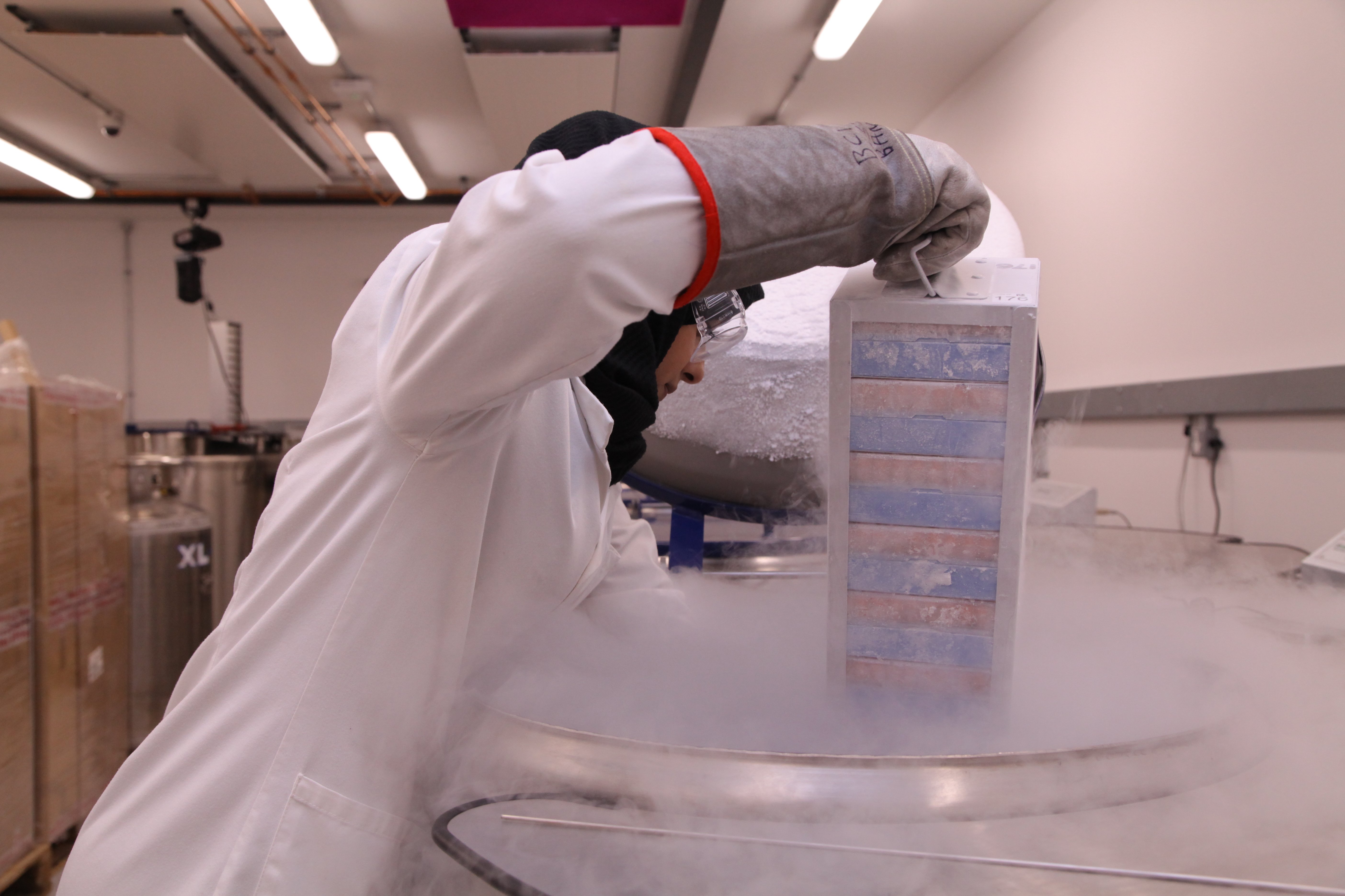 Barts Cancer Institute Tissue Banks - Barts Cancer Institute - Queen ...