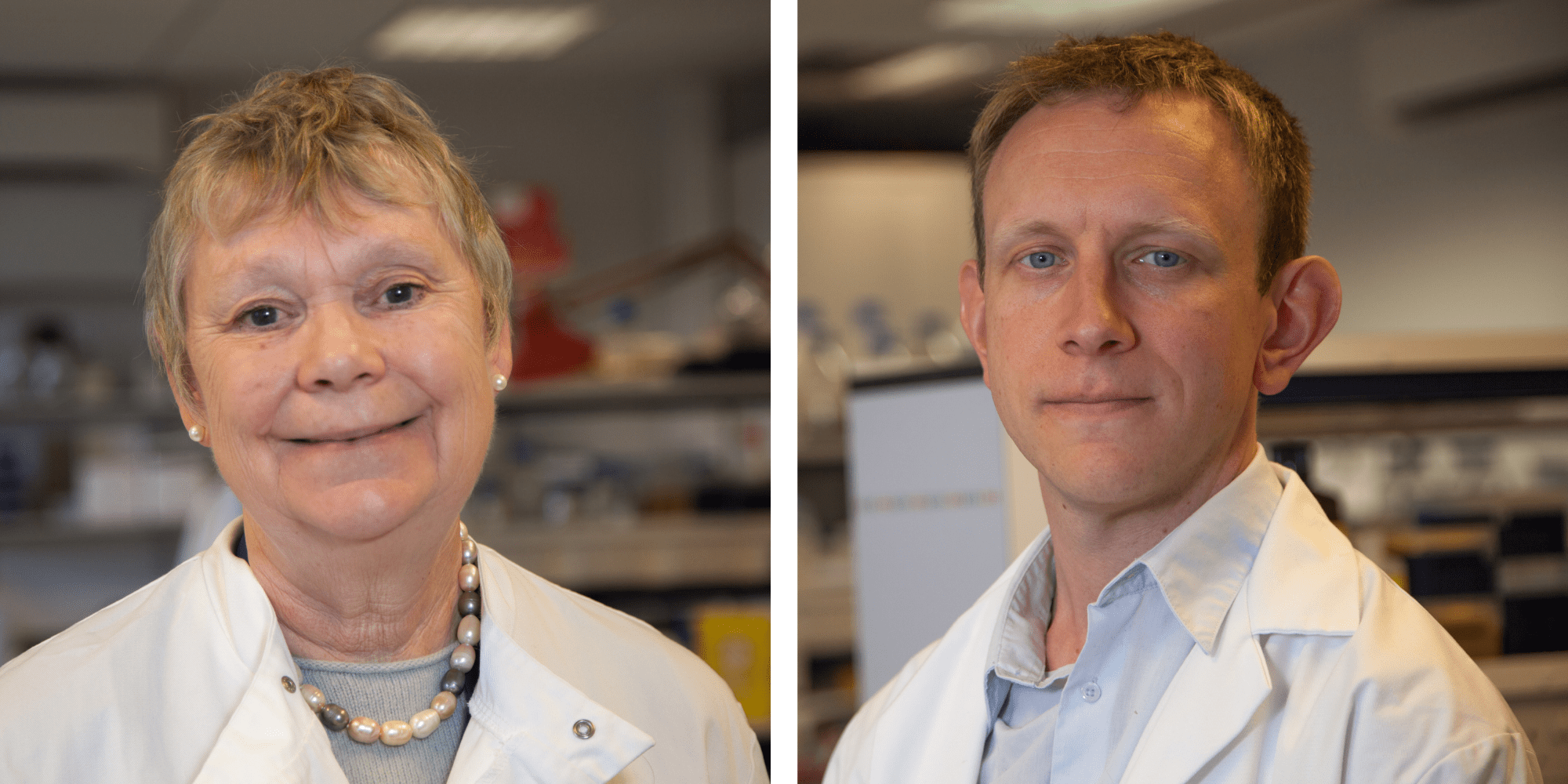 Building a human tumour microenvironment in the lab - Barts Cancer ...