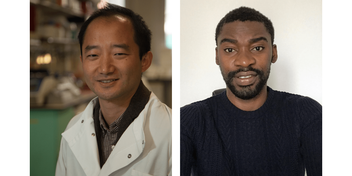 Dissecting complex biological pathways with machine learning - Barts ...