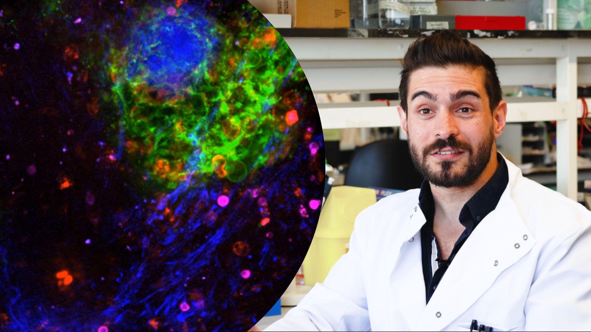 Video: Illuminating the city of cells inside cancer